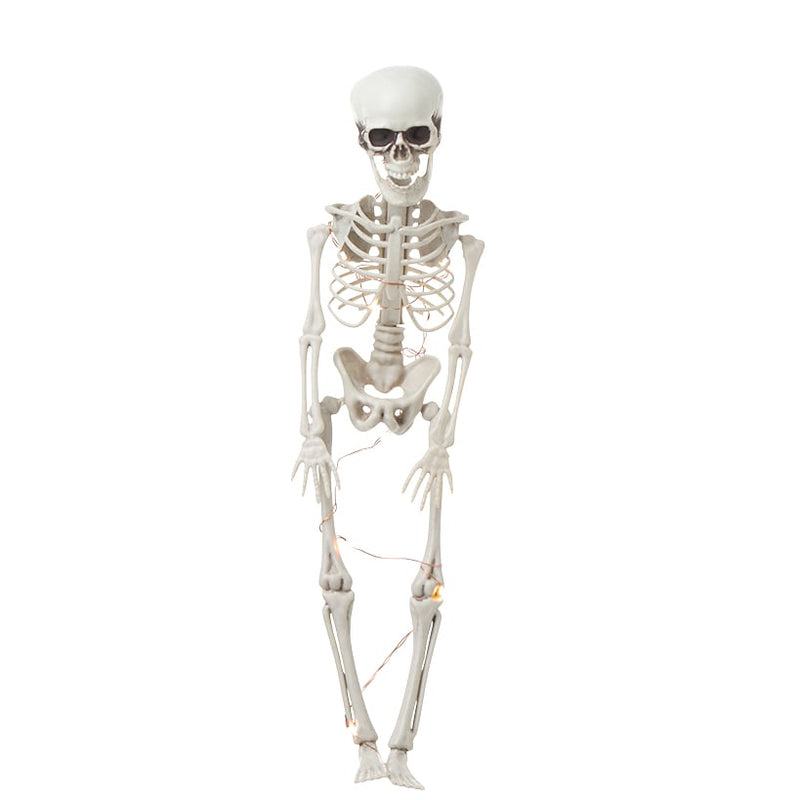 Halloween Skeleton Poseable Lighted Decor 16 Inch 35 Inch and 65 Inch ...