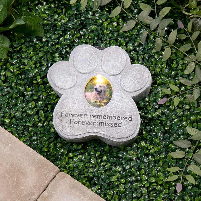 Solar Pet Memorial Photo Frame | The Lakeside Collection